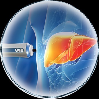 Southaven Gastroenterologist| Delta Gastroenterology and Endoscopy